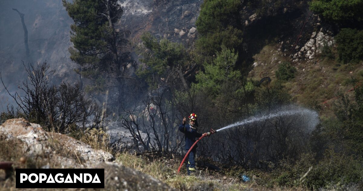 Πυρκαγιά στη Φθιώτιδα: Υπέκυψε ο 67χρονος μελισσοκόμος που προσπάθησε ...