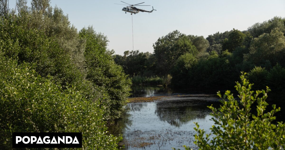 Δύο παιδιά ανάμεσα στους 18 απανθρακωμένους ανθρώπους στο δάσος της ...