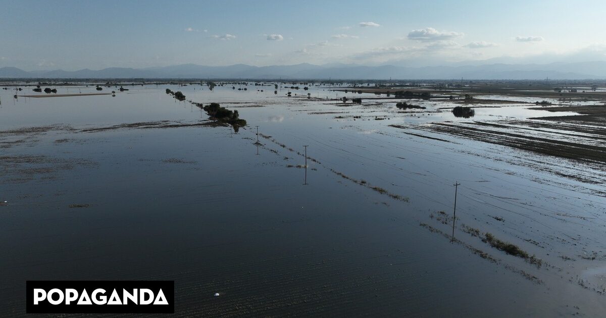 Θεσσαλία: Το μέγεθος της καταστροφής από τις πλημμύρες στις αγροτικές ...